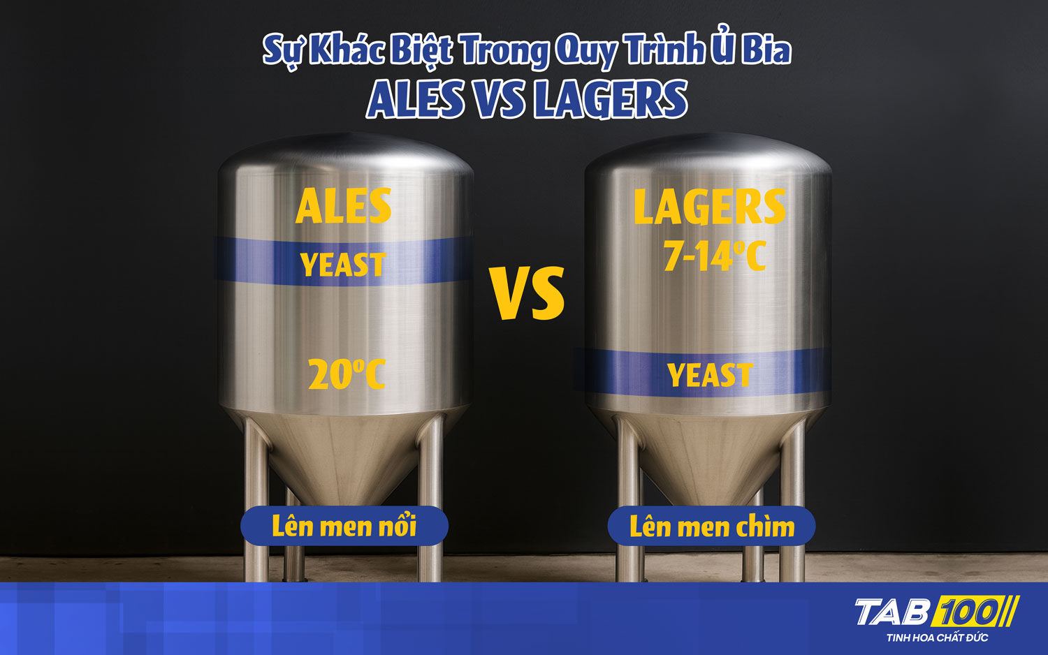 Top 4 loại bia Lager phổ biến nhất hiện nay, bạn đã thử chưa?